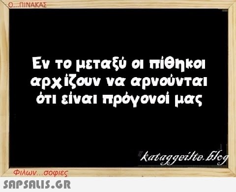 Ο...ΠΙΝΑΚΑΣ Εν το μεταξύ οι πίθηκοι ... #5191478917726208