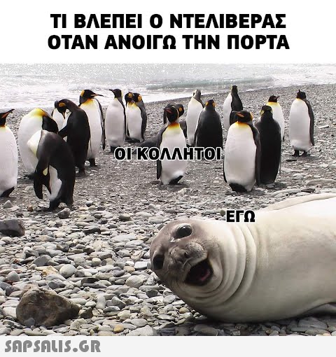 ΤΙ ΒΛΕΠΕΙ Ο ΝΤΕΛΙΒΕΡΑΣ ΟΤΑΝ ΑΝΟΙΓΩ ΤΗΝ ... #5092859254407168