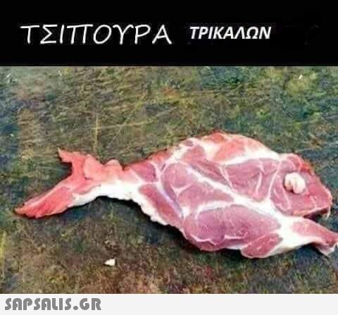 ΤΣΙΠΟΥΡΑ ΤΡΙΚΑΛΩΝ #5115109097603072