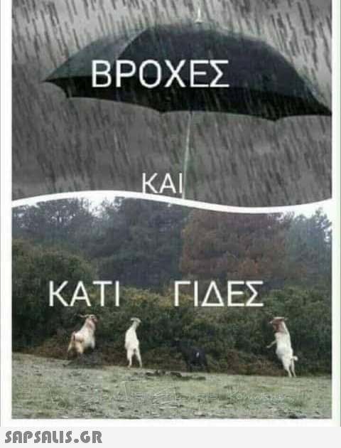 ΒΡΟΧΕΣ ΚΑΙ ΚΑΤΙ ΓΙΔΕΣ #6298567471792128